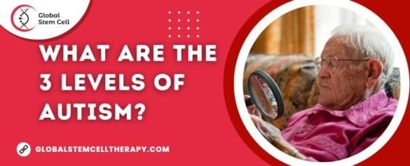 What Are The 3 Levels Of Autism: A Comprehensive Guide