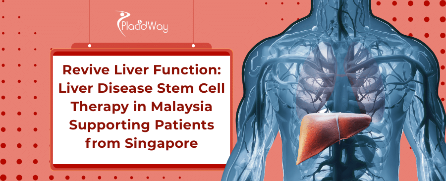 Revive Liver Function: Stem Cell Therapy In Malaysia For Singaporeans